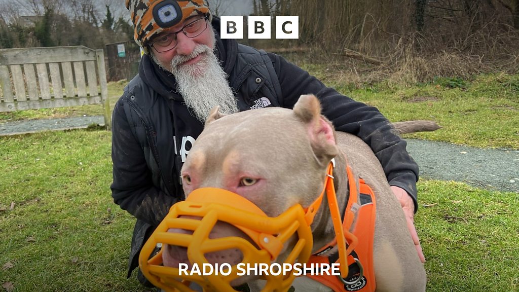 People will cross the road to avoid my XL bully - BBC Sounds