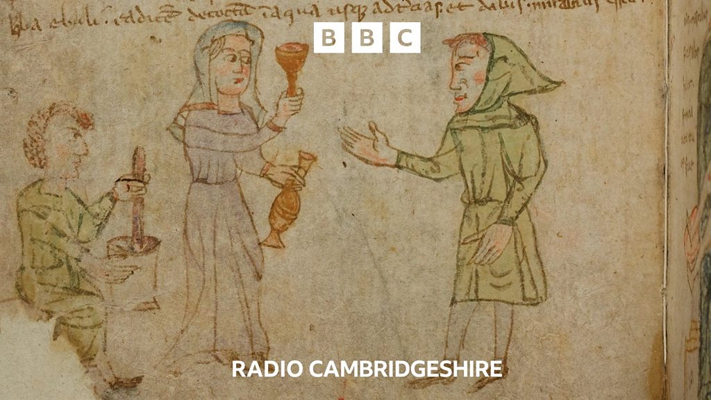 Weasel testicles and other medieval remedies - BBC Sounds