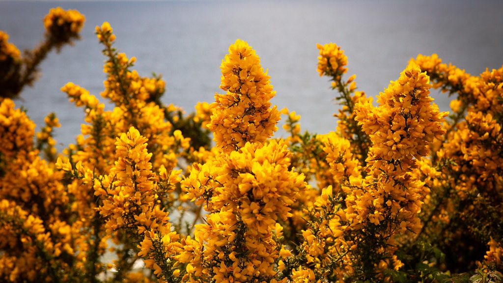 Thought for the Day from Radio Ulster - Rev Kiran Young Wimberly ...