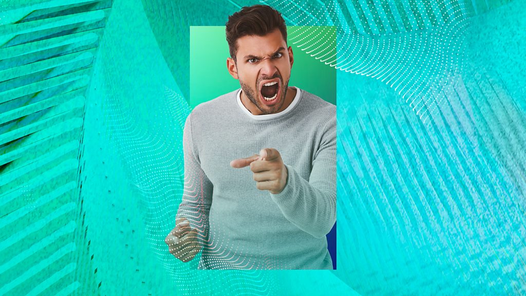 BBC Sounds - Curious Collection