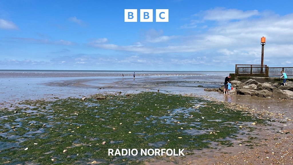 Why does Heacham beach have a ‘brown flag’? - BBC Sounds