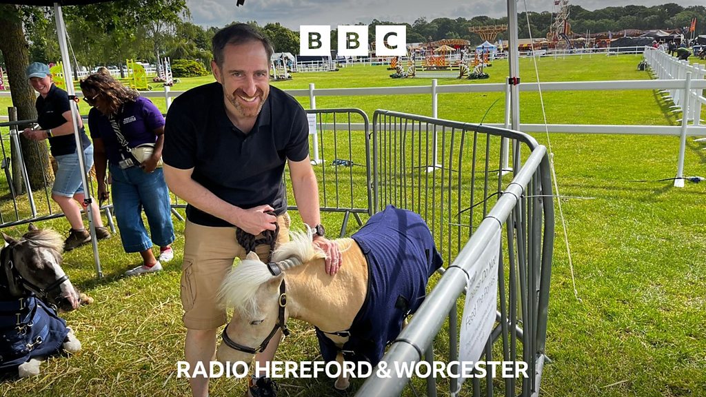 The world's smallest miniature horse, in Malvern - BBC Sounds