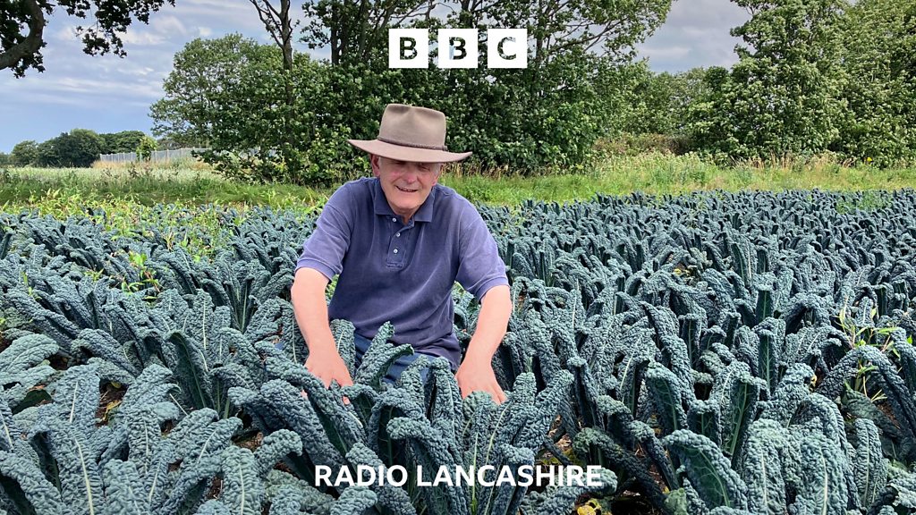Farmwatch - Lancashire - Growing the season as well as the greens - BBC ...