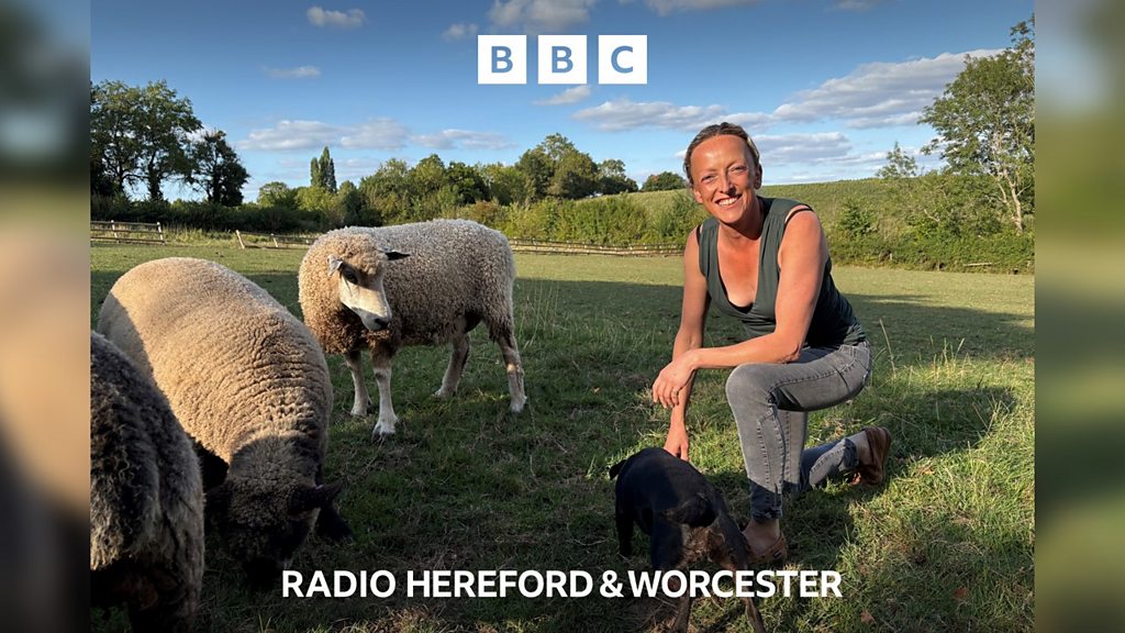 Farmwatch - Hereford & Worcester - 'Making jumpers from my own wool ...