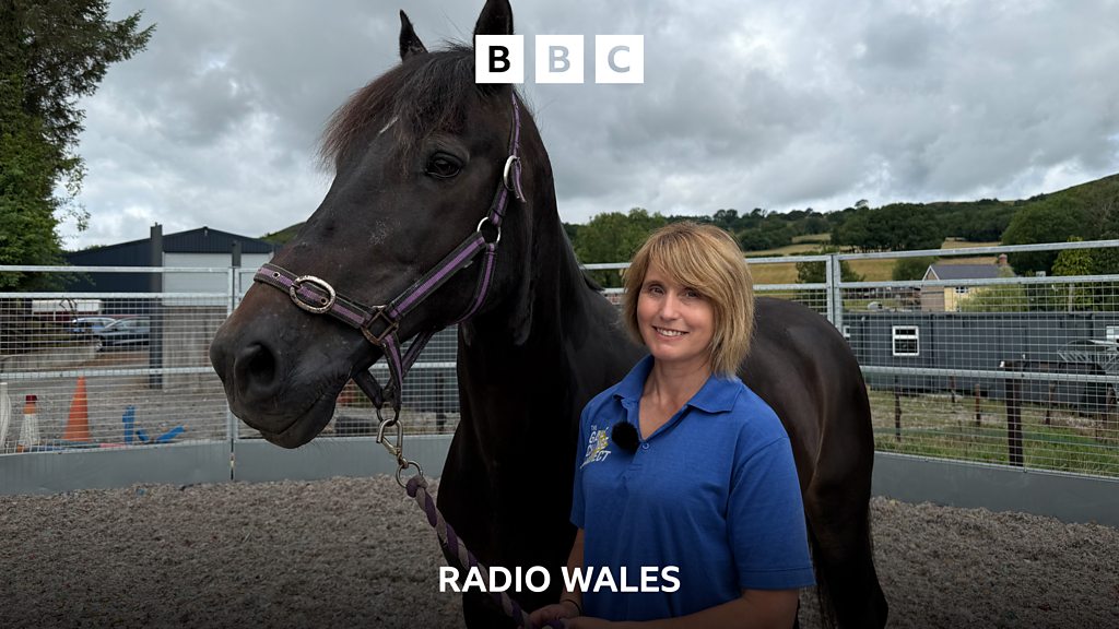 BBC Cymru Wales Make a Difference - The Game Change Project - BBC Sounds