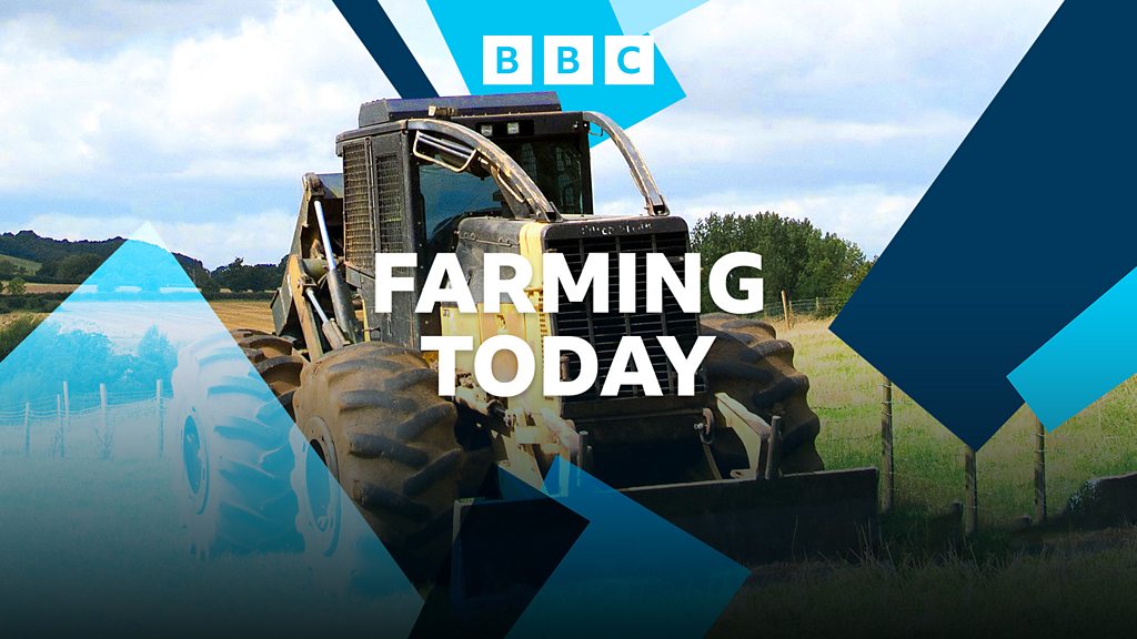 Farming Today - 29/09/25: Prime Minister's farming priority, Armagh ...