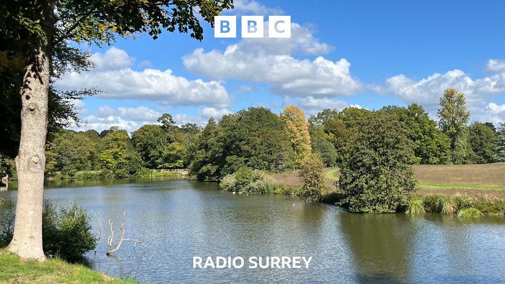 What's behind Winkworth's 'false autumn'? - BBC Sounds