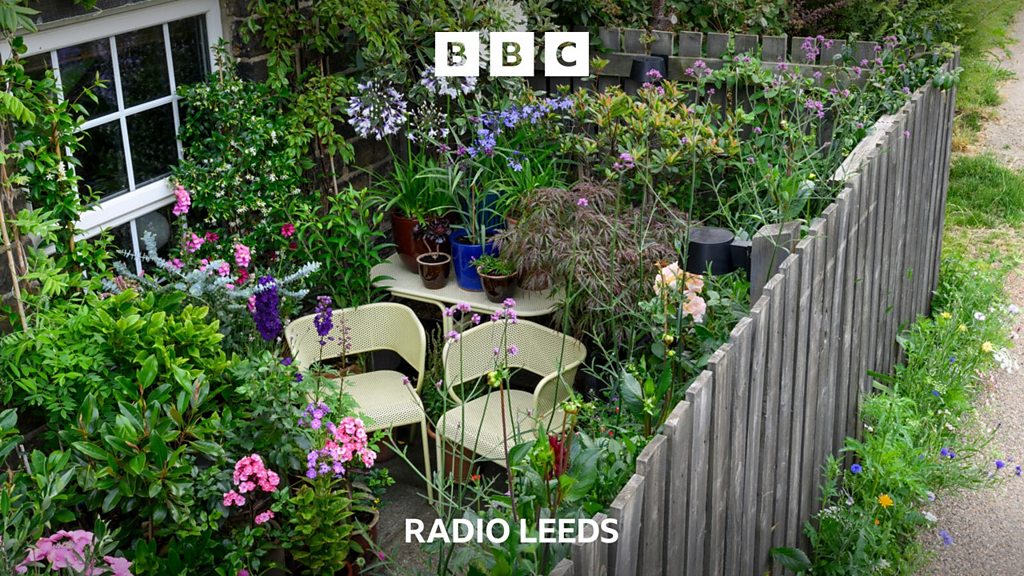 Is this the best garden in the north? - BBC Sounds