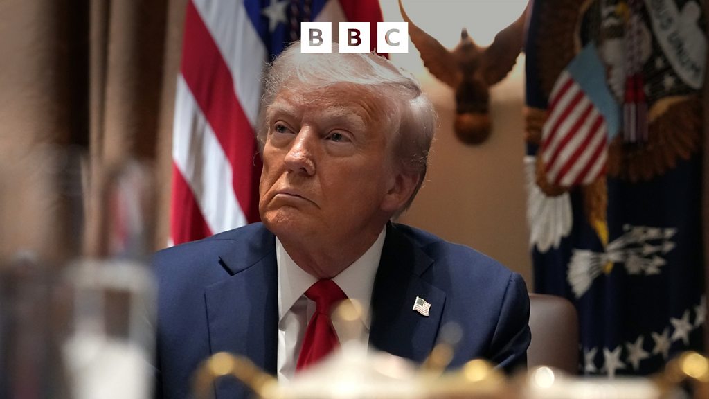 Business Daily - Life after DOGE - BBC Sounds