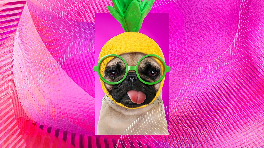 The News Quiz - Series 119 - 4. By-elections, hello defections - BBC Sounds