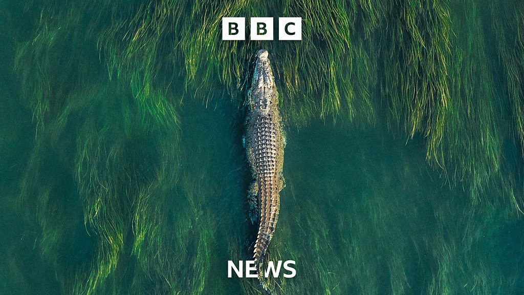 5 Live Breakfast - World record 55km swim in crocodile-filled river ...