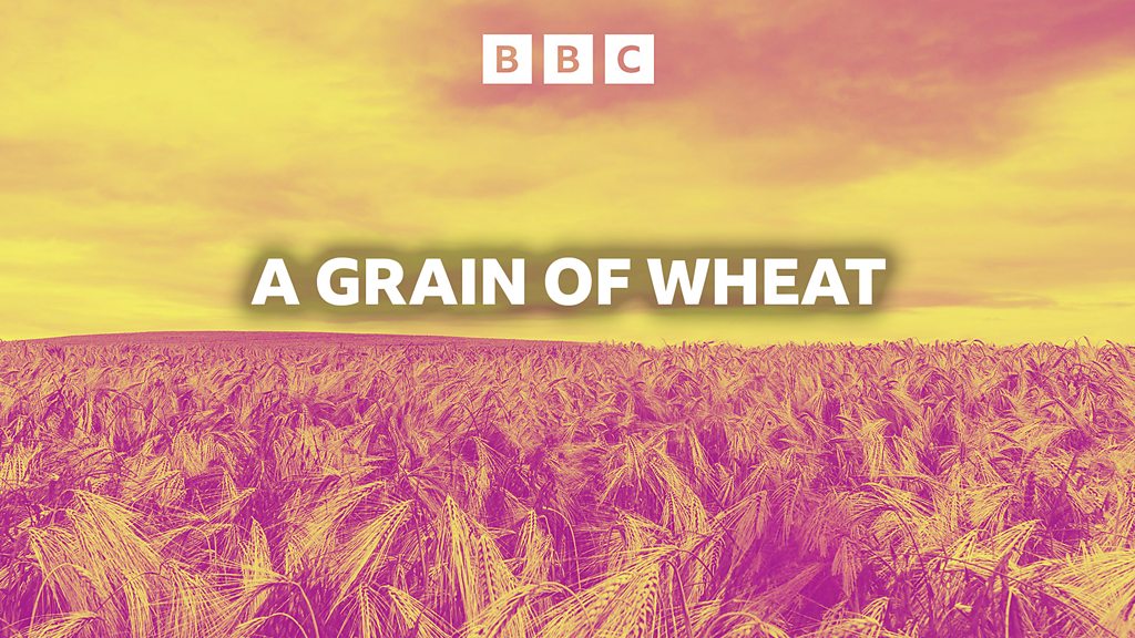 Drama on 4 - A Grain of Wheat by Ngugi wa Thiong'o - BBC Sounds