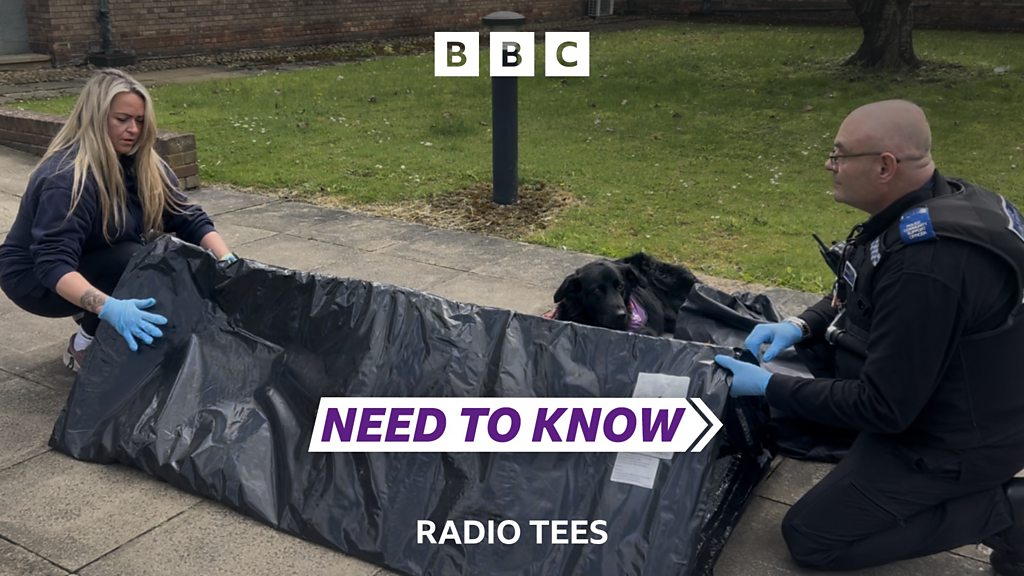 Need To Know Tees, Co. Durham & N. Yorkshire - Sleep Pods 'give rough ...