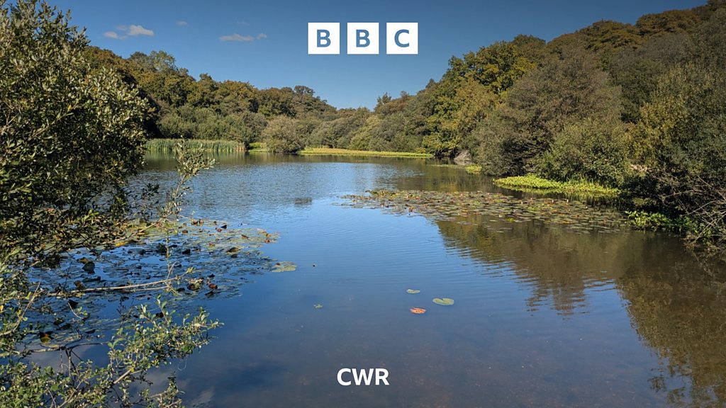 Staying safe in water - BBC Sounds