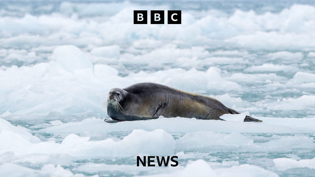 Today - Sound of the Year awards winner announced - BBC Sounds