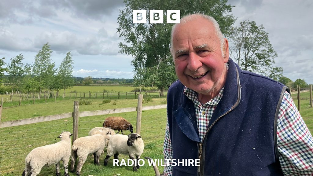 Animal therapy farm saved - BBC Sounds