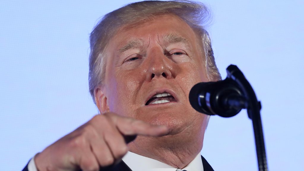 'They call him Britain Trump'