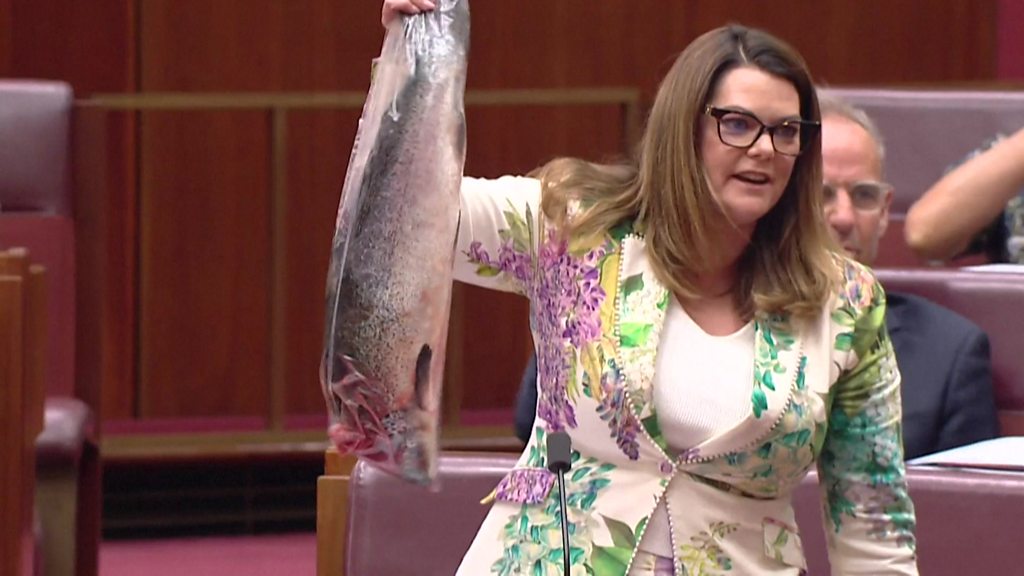 Fishy protest against Australia salmon farming bill