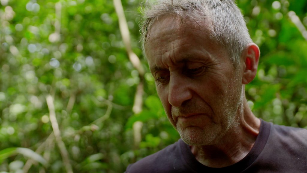 Tribe with Bruce Parry: Eating an ant while being eaten by ants