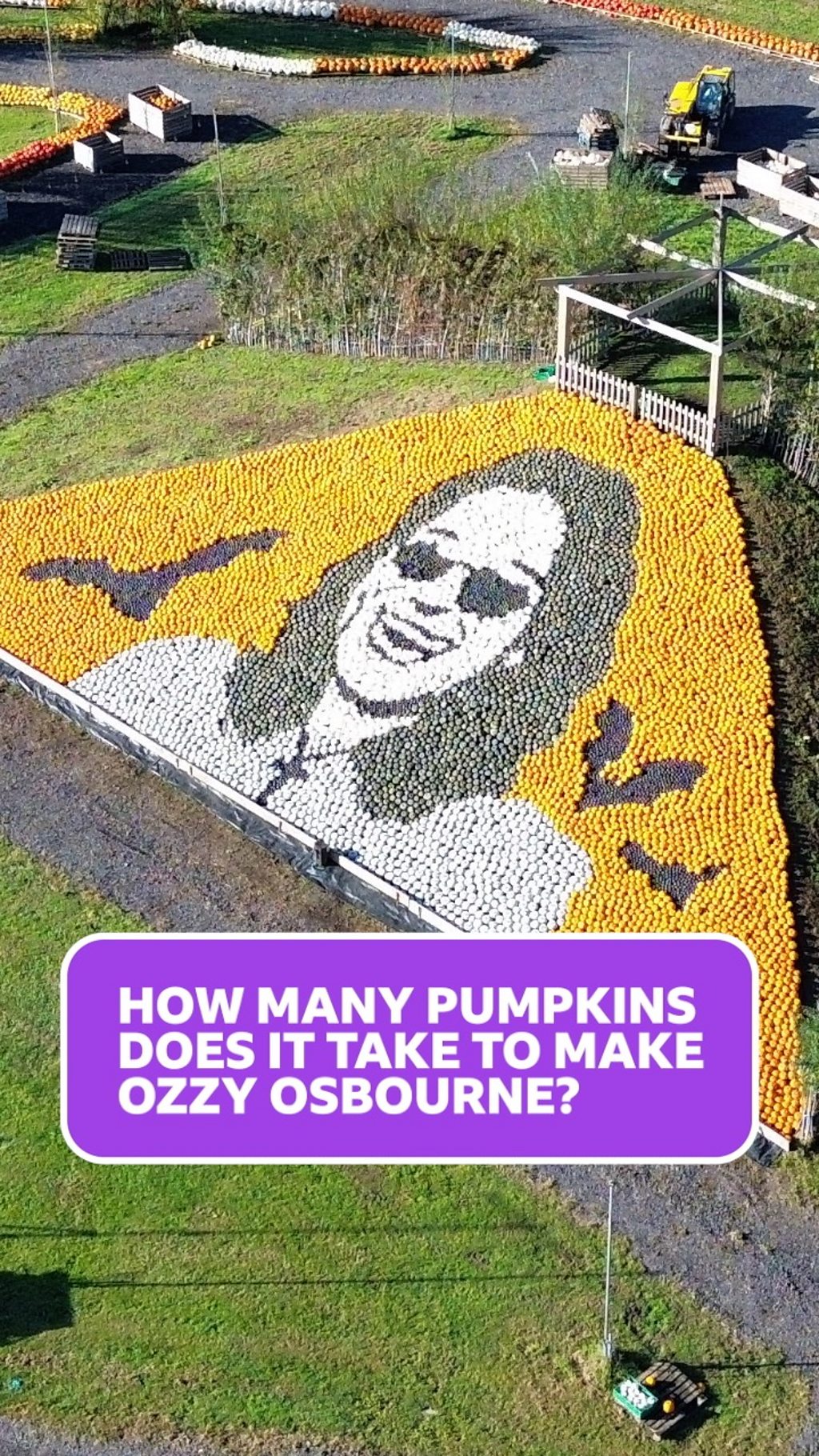 Sunnyfields Farm unveils Ozzy Osbourne pumpkin mural