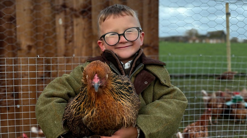 'I want a million chickens when I grow up'