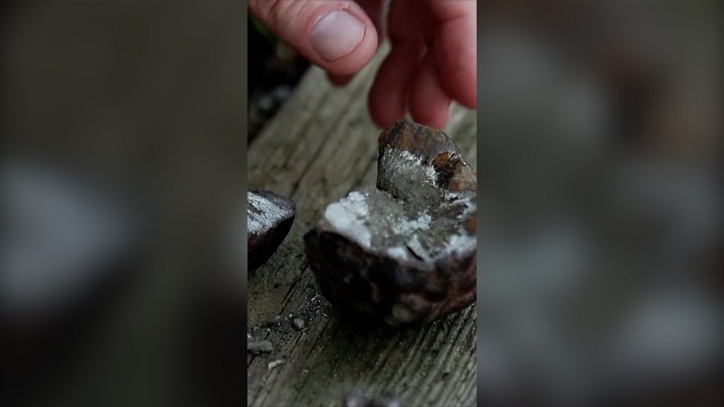 World's FIRST man-made fire unearthed in England