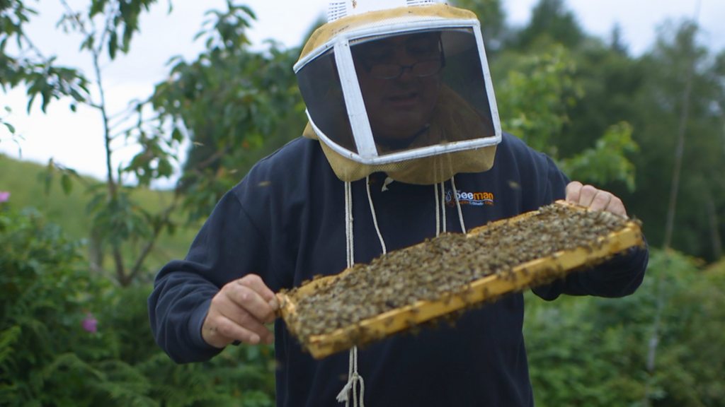 One man's extreme method of saving the bee population - BBC Three
