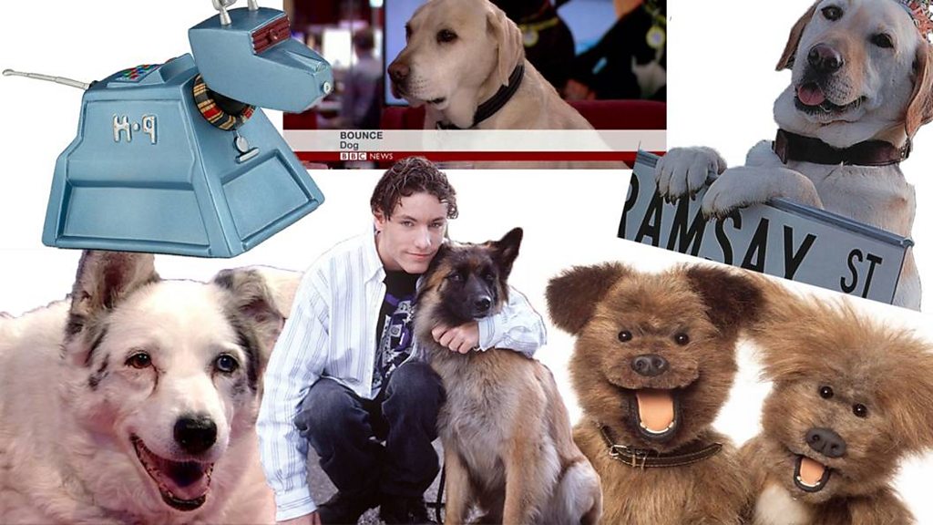 The British Barking Corporation - the best of the BBC dogs - BBC Three