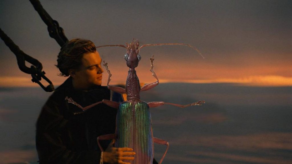 Five surprising celebs who've had insects named after them - BBC Three