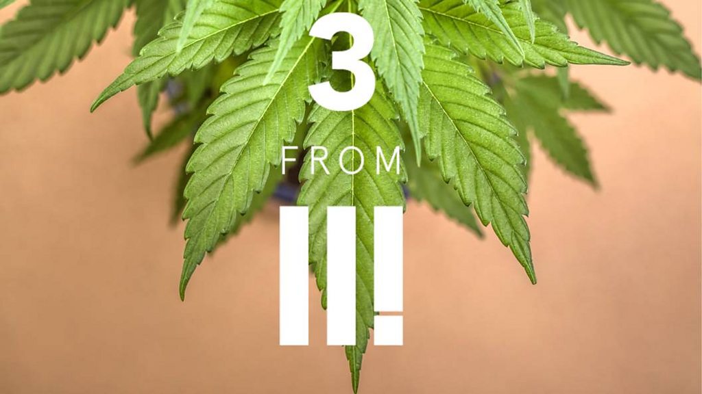 Are police ignoring weed? Monday's 3 from Three - BBC Three