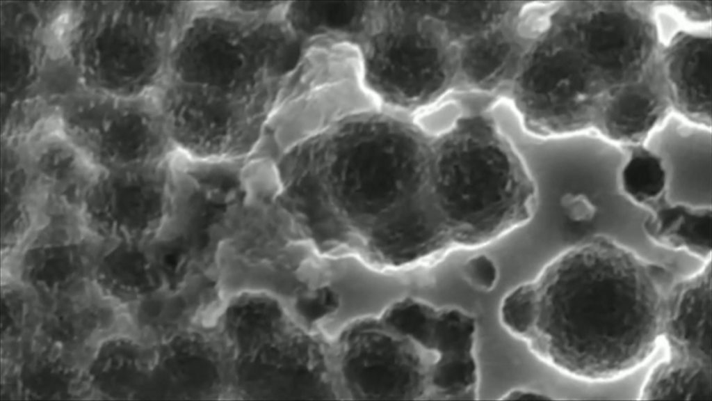 Recycling hope for plastic-hungry enzyme - BBC News