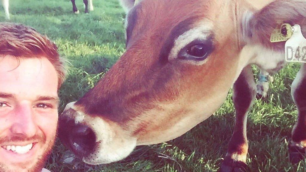 This doe-eyed Jersey has been voted 'Britain's Sexiest Cow' - BBC Three