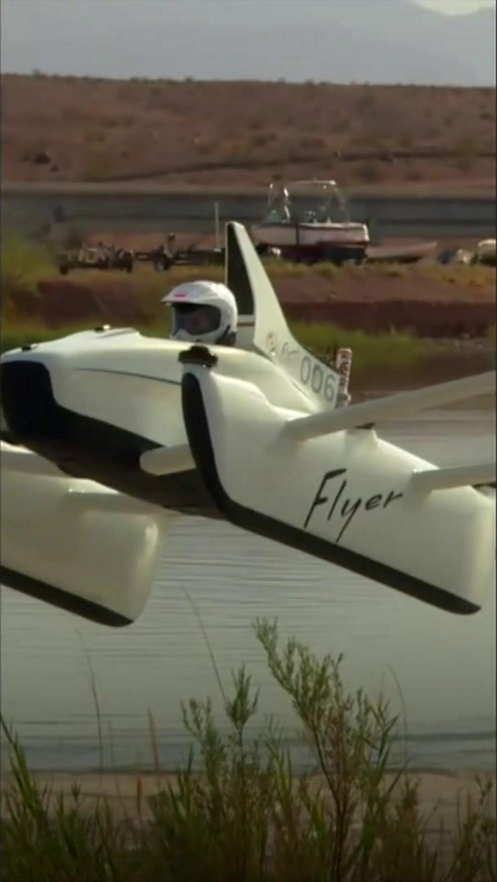 A flying car, a swimming bear