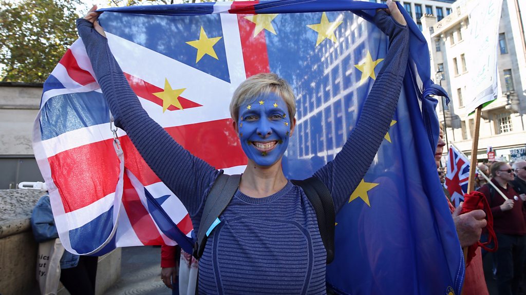 Thousands protest in London for second EU referendum