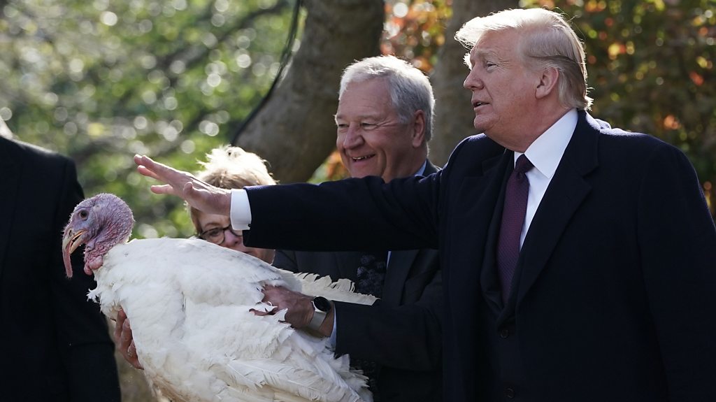 Trump jokes about vote recounts at turkey pardon - BBC News