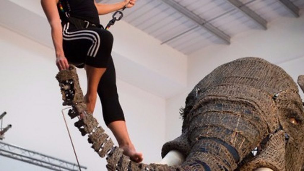 The Christmas circus with no animals