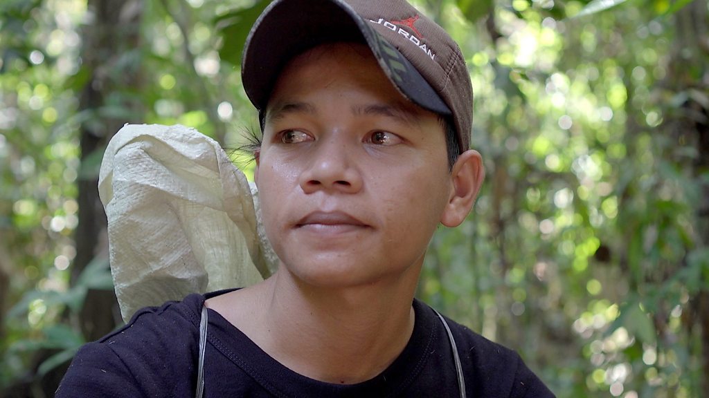 'I've killed hundreds of endangered birds'