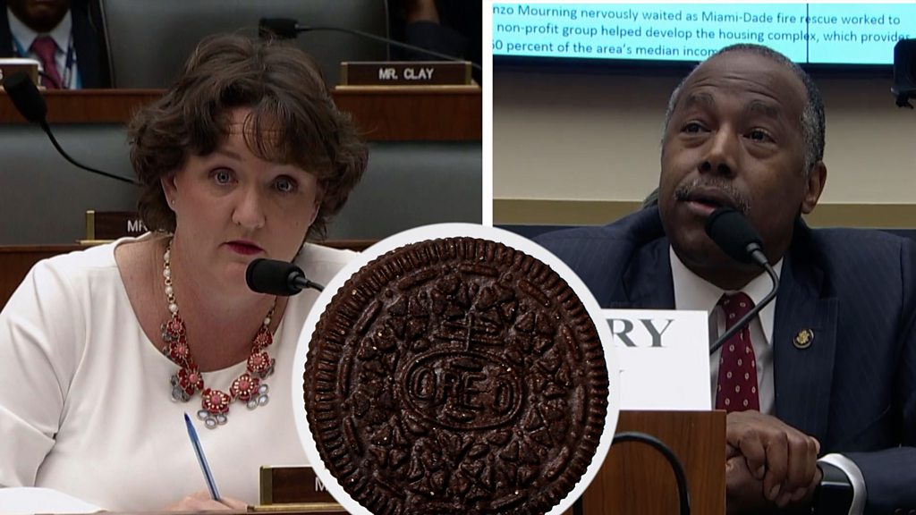 REO or Oreo? Ben Carson mistakes housing term for cookie - BBC News