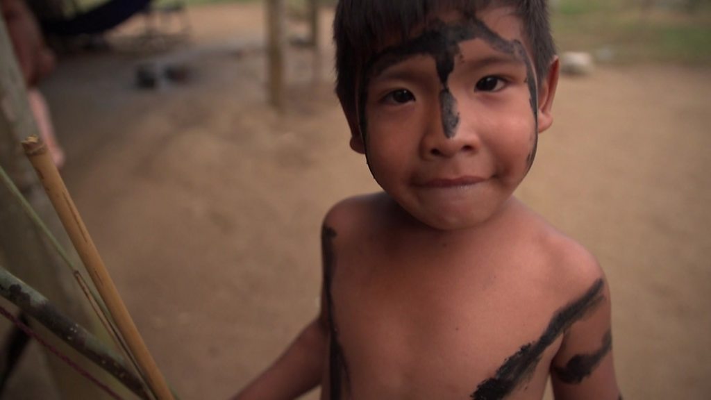 Indigenous people in fight for survival - BBC News
