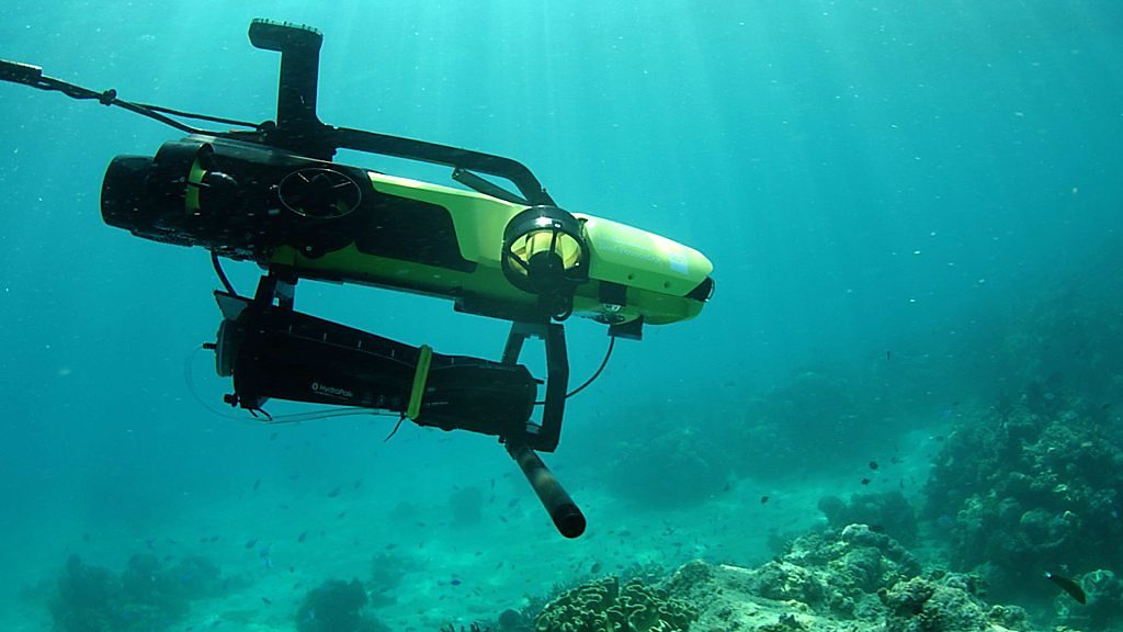 Could this robot help save corals? - BBC News