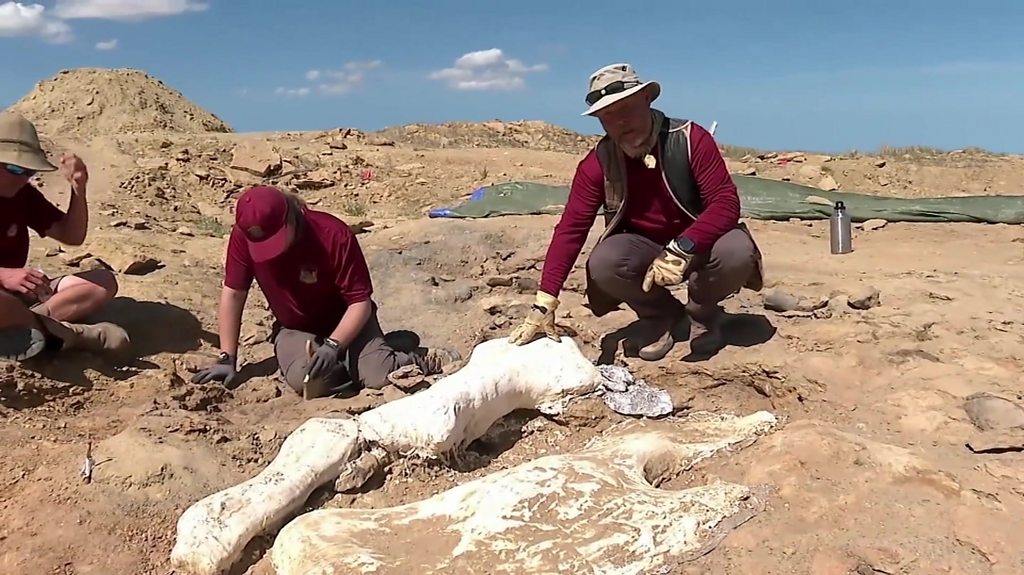 Treasures of a dinosaur hunt