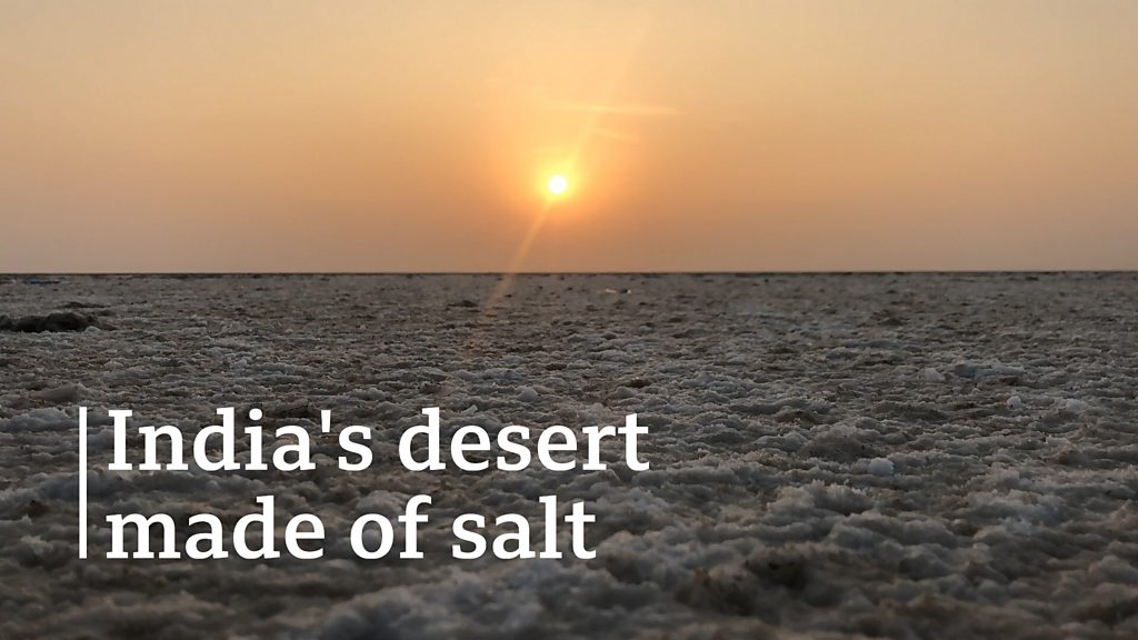India's extraordinary salt desert