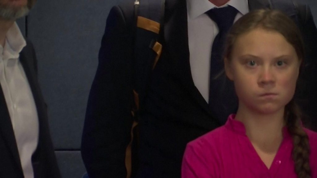 When Greta saw Trump - BBC News