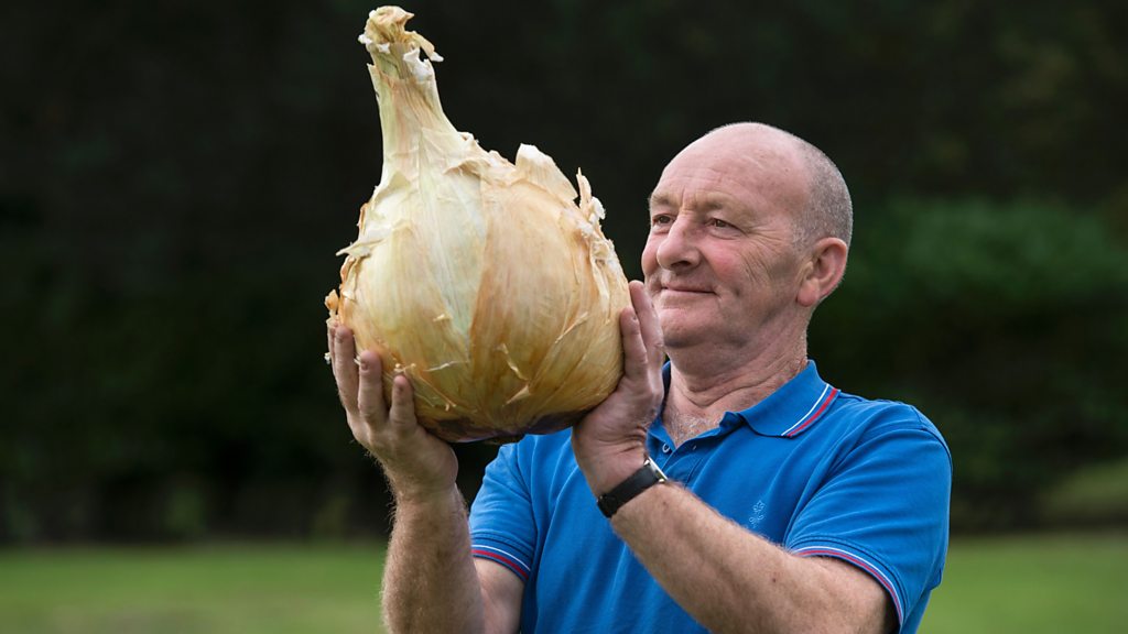 Man's giant vegetables set new world records - BBC News