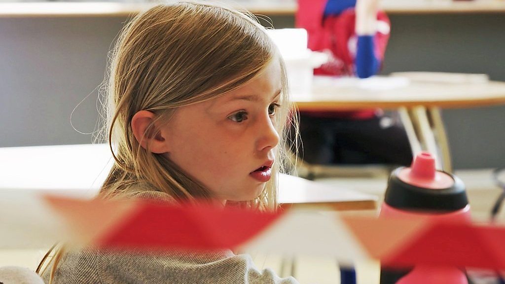 How Denmark reopened its primary schools - BBC News