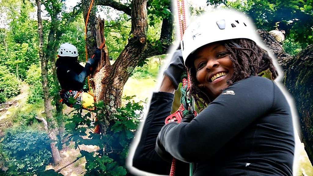 Tree climbing boosts mental health after lockdown - BBC News