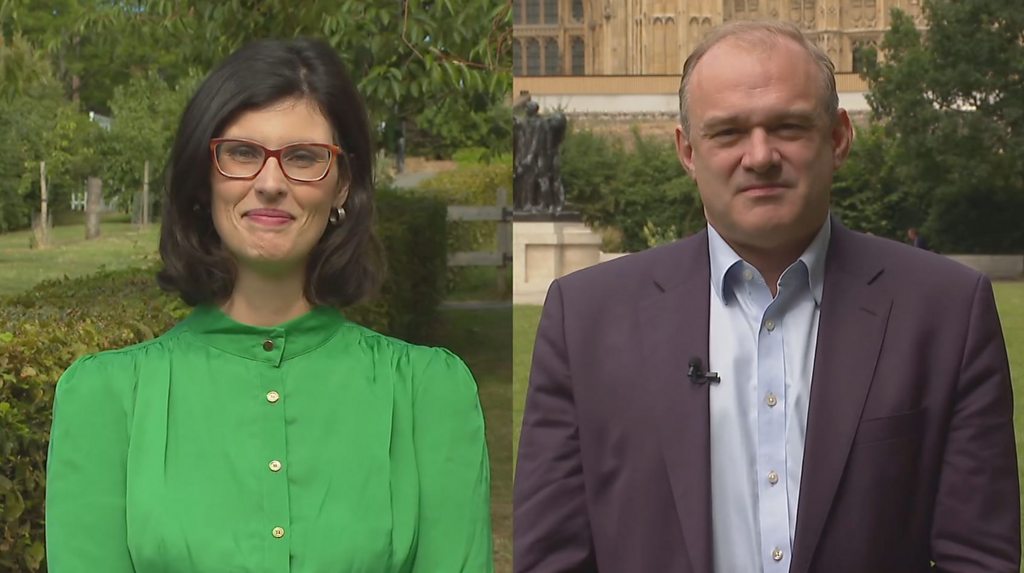 Who will be the Lib Dems’ next leader?