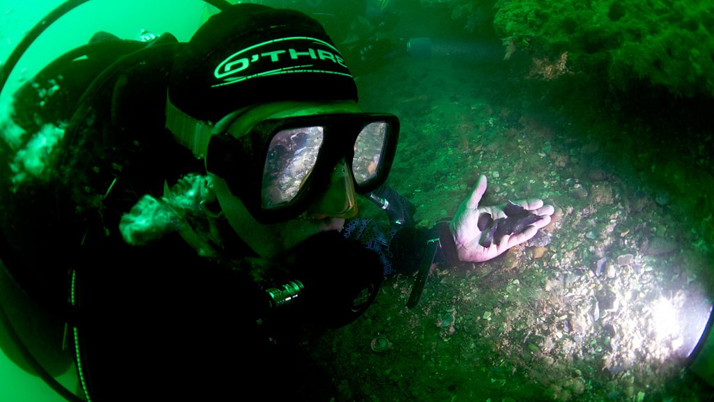 The clues to ancient humans submerged under the sea