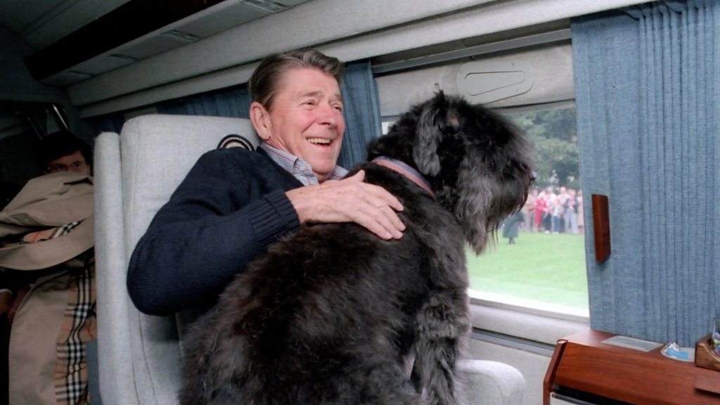 US presidents and their pets - BBC News