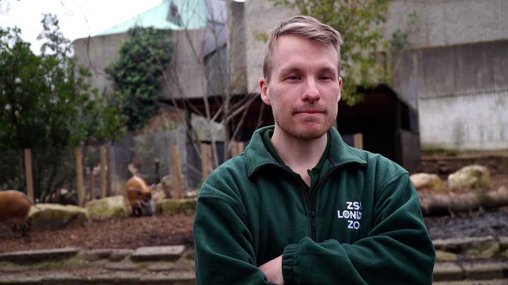 Learning to be a zookeeper during lockdown